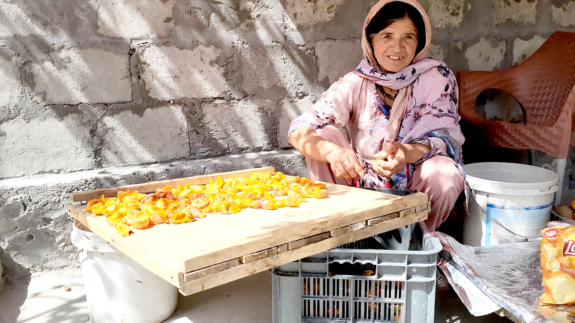 Apricot drying process by locals of Gilgit Baltistan near Hussaini ...